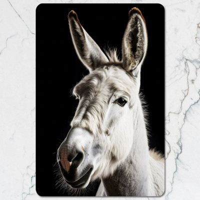 Donkey Portrait Placemats And Coasters Set 12 Pieces Black Background