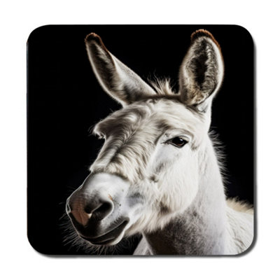 Donkey Portrait Placemats And Coasters Set 12 Pieces Black Background