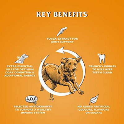 Dr John Food For Working Dogs Chicken & Vegetable 15Kg