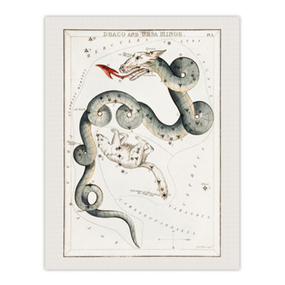 Draco and Ursa Minor Constellation Hall Wall Art Poster Print 12X16"