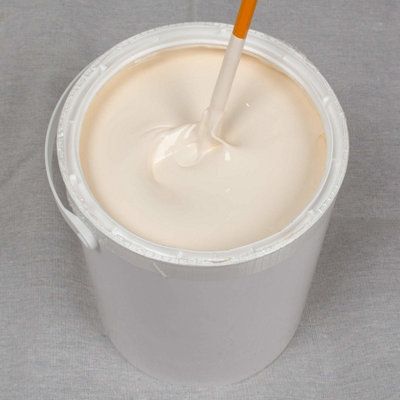 Dryzone Anti-Mould Additive 100ml Concentrate to Make 5L of Emulsion ...
