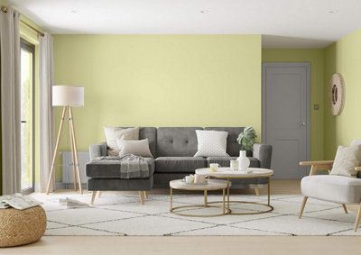 Dulux Easycare Kitchen Stain & Oil Resistant Matt Emulsion Paint ...