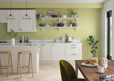 Dulux Easycare Kitchen Stain & Oil Resistant Matt Emulsion Paint ...