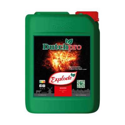 Dutchpro Explode 5L - baytonhorticulturecentre
