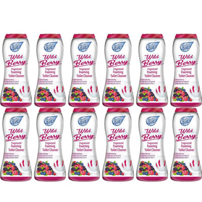 Duzzit Foam Fresh Foaming Toilet Cleaner Wild Berry 370g x 12