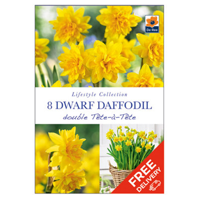 Dwarf Daffodil Double Tete a Tete | DIY at B&Q