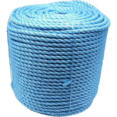 EAI Blue Rope Polypropylene Strong Poly General Purpose Rope - 12mm x ...