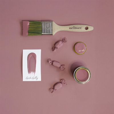 Earthborn Lifestyle Gosh Golly, durable eco friendly emulsion paint, 5L