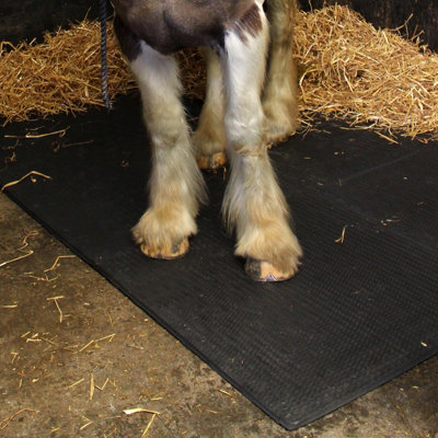 Easimat 34mm Straight Horse Stable Floor Mat x 12 | DIY at B&Q