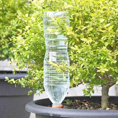 Easylife Automatic Watering Spikes (Set of 8)