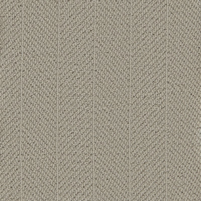 Eco Friendly Luxury Loop Carpet (Moonstone, 2m x 5m)