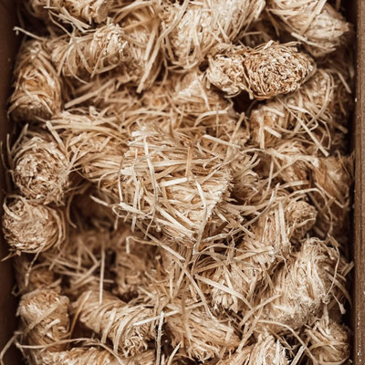 Ecoblaze Natural Firelighters 50 Box Wax Coated Instant Spruce Fire ...