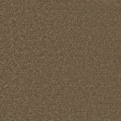 Ecosense Enchantment Elite Carpet by Remland (Meadow Brown, 2m x 5m)
