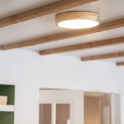Edit Dari Round 18W Selectable LED Flush Ceiling Light Green