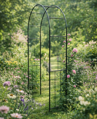 Eigg Metal Frame Garden Arch Support (H)240cm (W)120cm (D)36cm