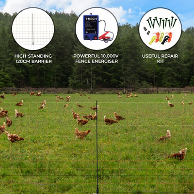 Electric Poultry Netting & Fence Energiser