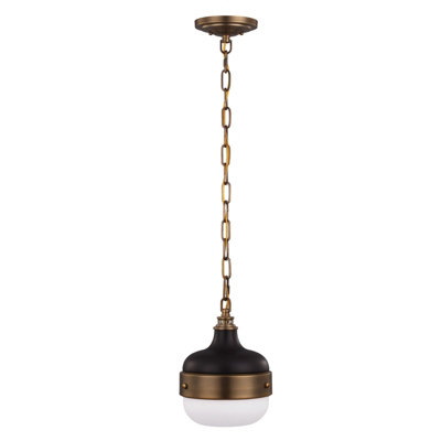 Elegant 1 Bulb Ceiling Pendant Light in Dark Antique Brass and Matte ...