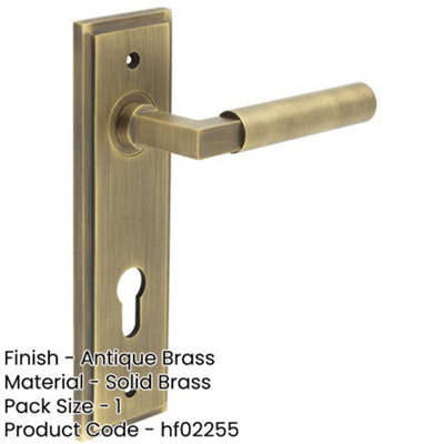 Elegant Antique Brass Door Handle with Euro Backplate - Solid Brass ...