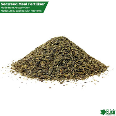 Elixir Gardens Seaweed Meal Plant Feed, Lawn Conditioner & Soil ...