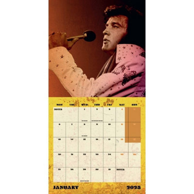 Elvis Presley 2025 Square Wall Calendar Multicoloured (30cm x 30cm)