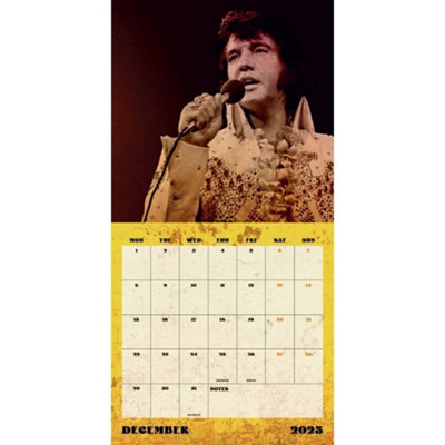 Elvis Presley 2025 Square Wall Calendar Multicoloured (30cm x 30cm)
