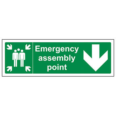 Emergency Assembly Point Arrow Down Sign Adhesive Vinyl 600x200mm (x3) | DIY at B&Q