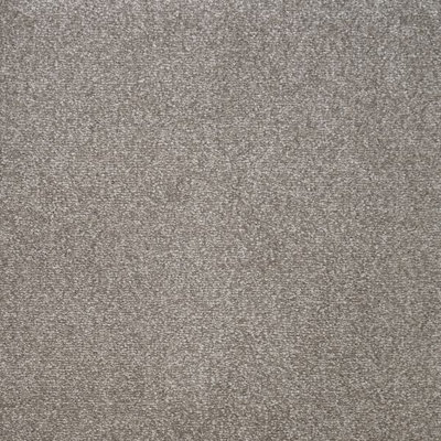 Eminence Luxury Carpet by Remland (Marsh, 1m x 4m) | DIY at B&Q