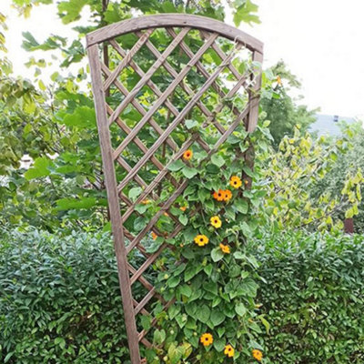 English Primrose Fan Design Trellis Outdoor Garden Wall Privacy 1.83m x ...