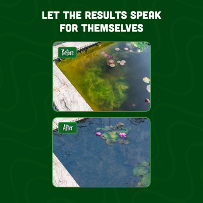 envii Algae Klear Xtra - Pond Algae Removal Treatment - Works Through Winter - Safe for All Fish ...
