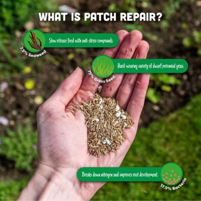 envii Patch Repair Fast Growing Grass Seed Mix Repairs Damaged Lawn ...