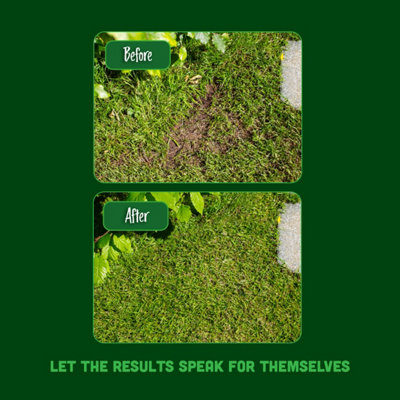 envii Patch Repair Fast Growing Grass Seed Mix Repairs Damaged Lawn ...