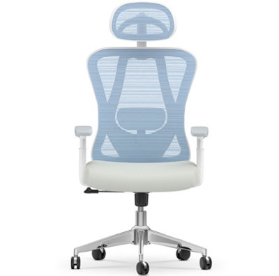 Ergonomic Office Chair with Hanger - Desk Chair with 2D Lumbar Support ...