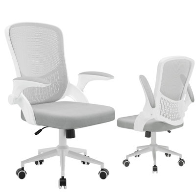 Ergonomic Office Chair with Lumbar Support, Adjustable Height, and ...