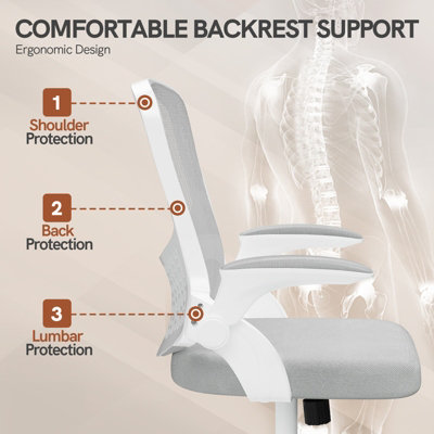 Ergonomic Office Chair with Lumbar Support, Adjustable Height, and ...