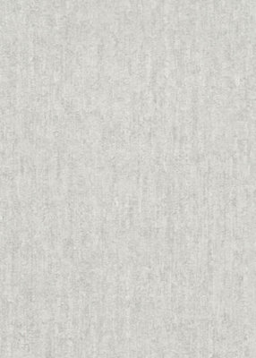 Erismann Wallpaper Shadow Veil light grey