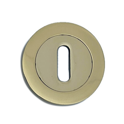 Escutcheon Polished Brass Pair Keyhole Cover Mortice Door Lock Cover