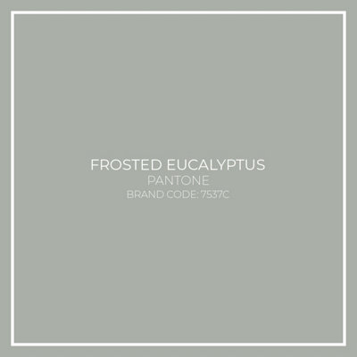 Eucalyptus Green Toughened Glass Kitchen Splashback - 1000mm x 900mm ...