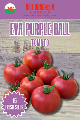 Eva Purple Ball Tomato Seeds - 15 Fresh Seeds