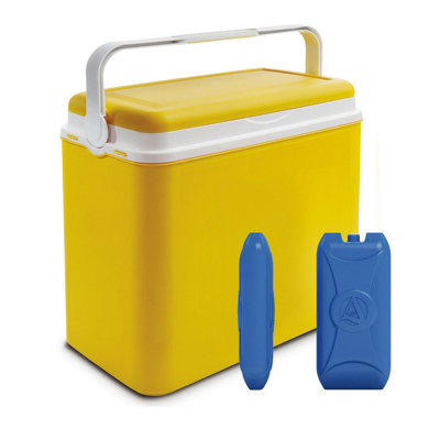 Ever Green - 24L Insulated Coloured Cooler Box With 2 Ice Packs