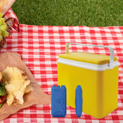 Ever Green - 24L Insulated Coloured Cooler Box With 2 Ice Packs