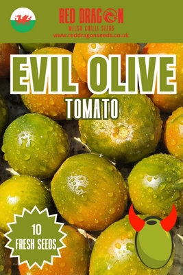 Evil Olive Tomato Seeds - 10 Fresh Seeds