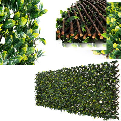 Expandable Willow Trellis - Outdoor Privacy Screen - Sturdy and ...