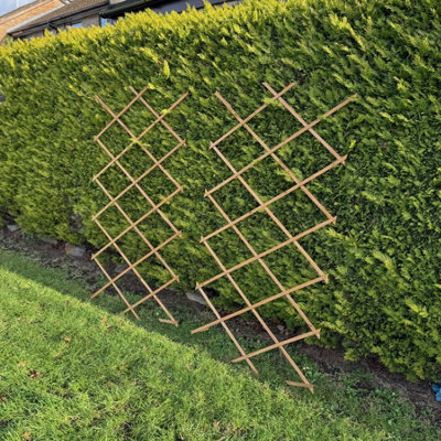 Expanding Wooden Garden Trellis Plant Support (180cm x 90cm) - Pack of 2