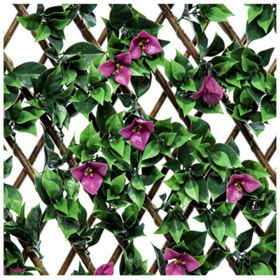Expanding Wooden Trellis Privacy Screen - 200cm x 100cm - Garden ...