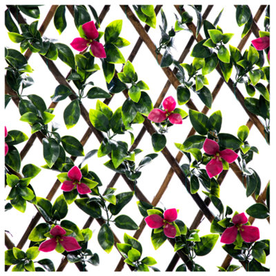 Expanding Wooden Trellis Privacy Screen - 200cm x 100cm - Garden ...
