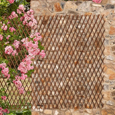 Extendable Willow Trellis - Natural Garden Expanding Plant Support ...