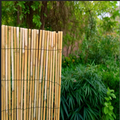 Extra Thick Reed 1mx3m Fence Privacy Decorative Fencing Natural ...