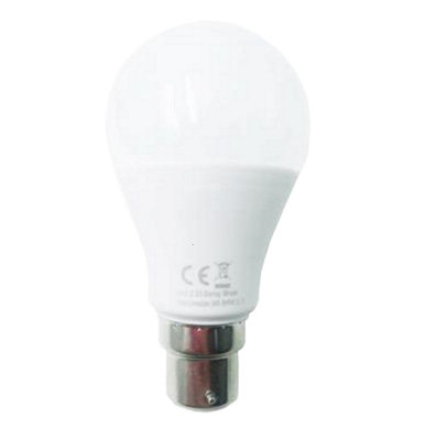 ExtraStar 8W LED A60 Ball Bulb B22 Daylight 6500K
