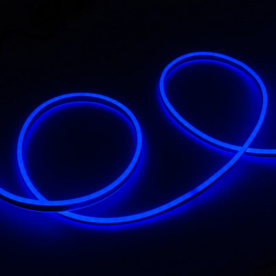 ExtraStar Neon LED Strip 5M Cable with Power Adapter, Blue, IP65 ...