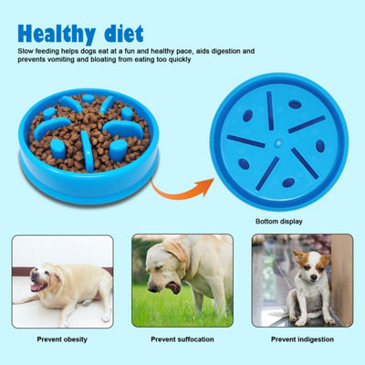ExtraStar pet slow feeder bowl, puzzle feeder 20x20x4cm Blue